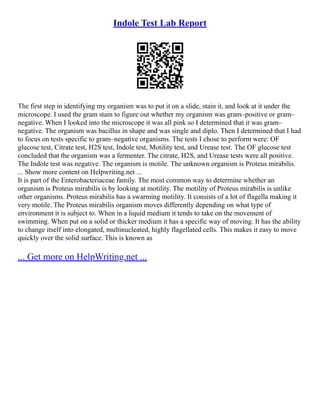 Indole Test Lab Report | PDF