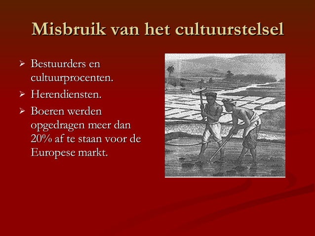 Indonesië Tijdens Het Cultuurstelsel | PPT