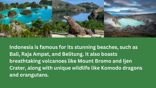 Exploring Indonesia: A Journey Through Culture, Nature, and Modern Life ...