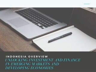 Indonesia Overview | PPTX | Business | Business and Finance