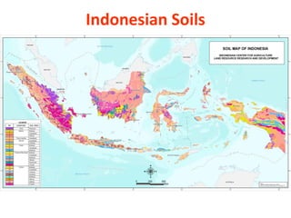 Indonesia | PDF