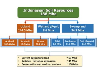 Indonesia | PDF