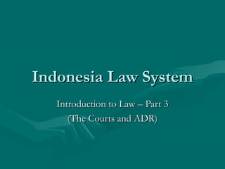 Indonesian Law System , Indonesian criminal procedure – EGEX