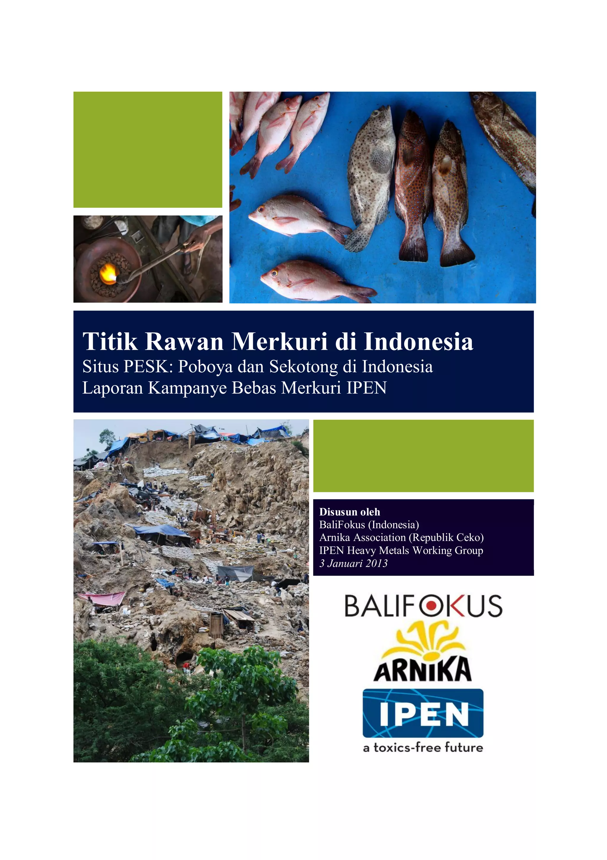 Merkuri dalam rambut di titik rawan merkuri di Indonesia: 2 hotspots ...