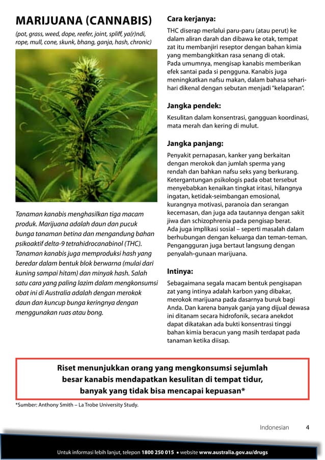 JENIS JENIS NARKOBA DAN BAHAYANYA..!! | PDF