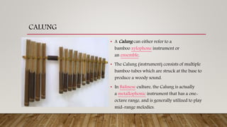 Indonesian Musical Instrument | PPTX