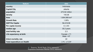 Indonesia powepoint presentation. | PPTX | Healthcare Industry | Industries