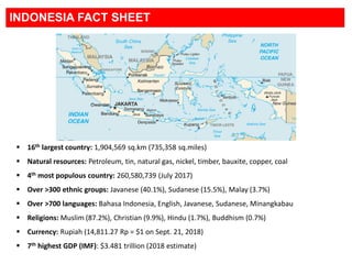 Indonesia Country Profile | PDF