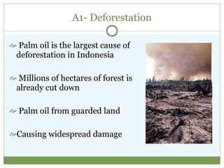 Indonesia’s palm oil | PPT