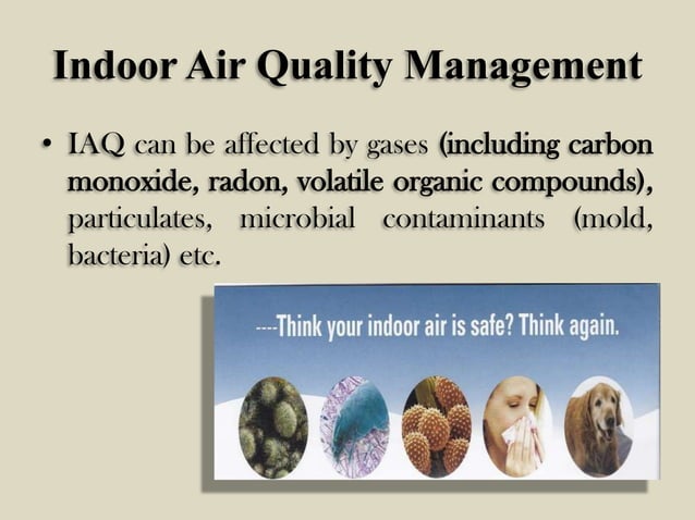 Indoor Air Quality | PPTX | Lung and Respiratory Health | Diseases and ...