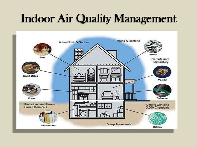 Indoor Air Quality | PPTX | Lung and Respiratory Health | Diseases and ...