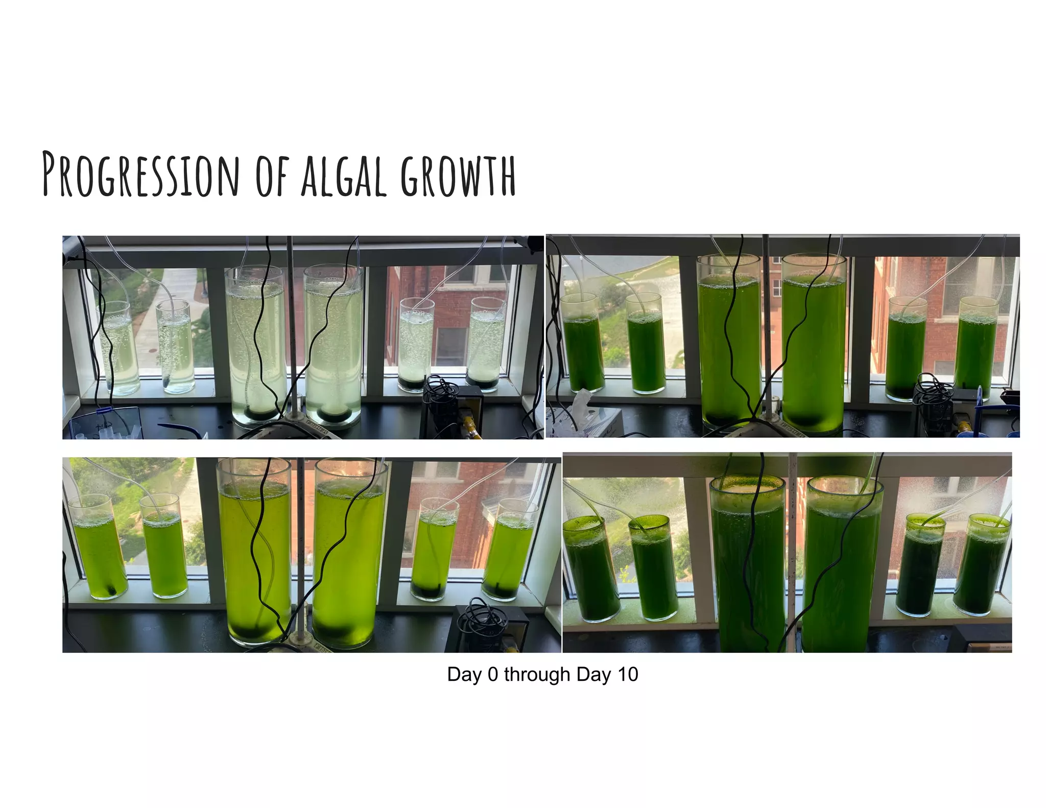Indoor algae cutlivation - 22 cmd.pdf