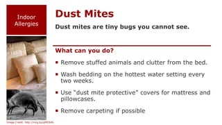 Indoor Allergies | PPT