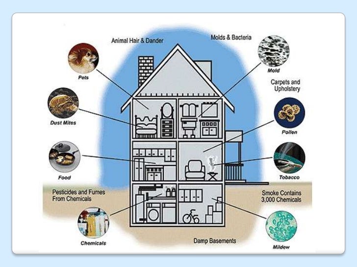 Indoor environmental quality of green building