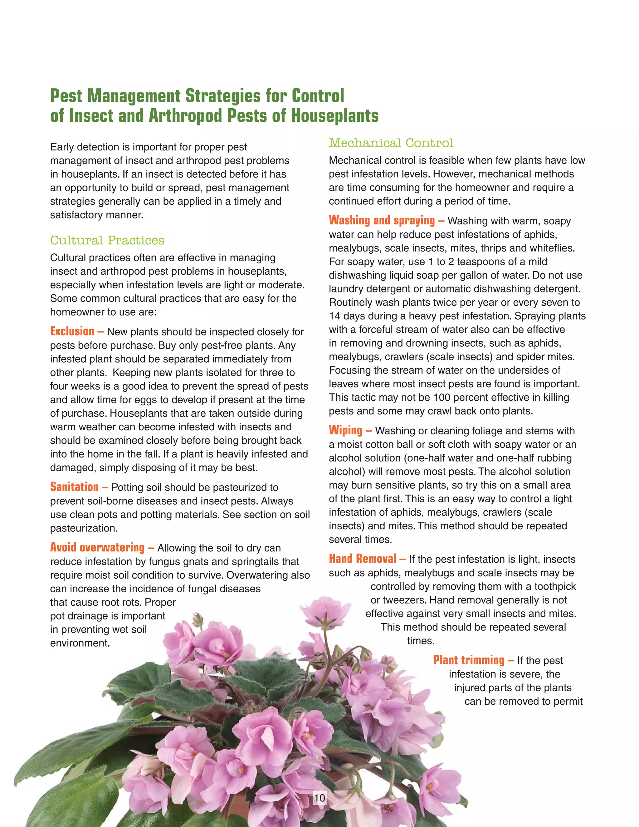 Indoor house plant management | PDF