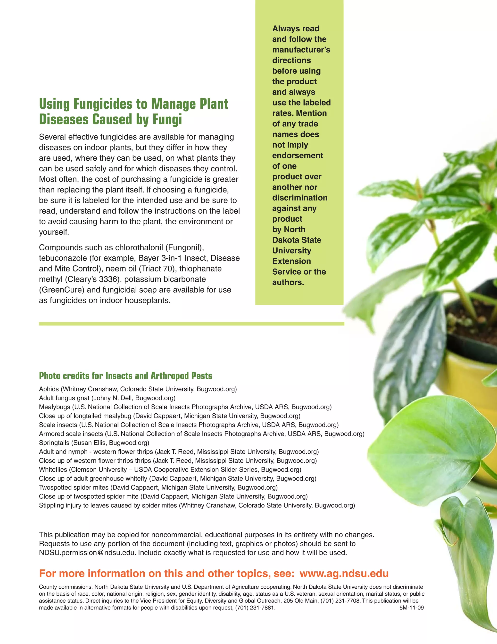 Indoor house plant management | PDF