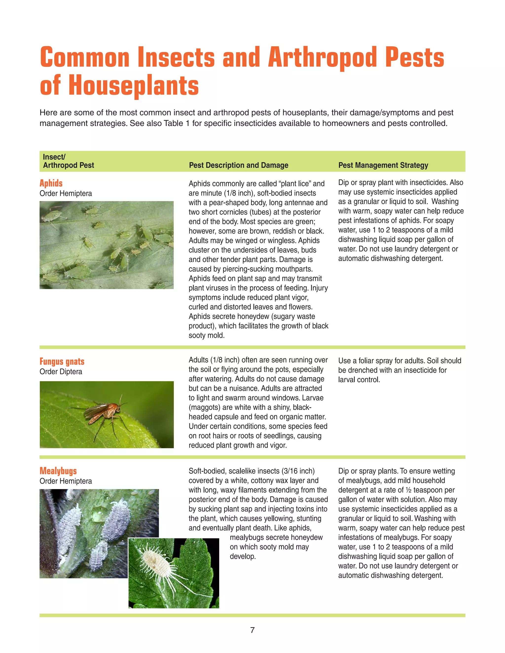 Indoor house plant management | PDF
