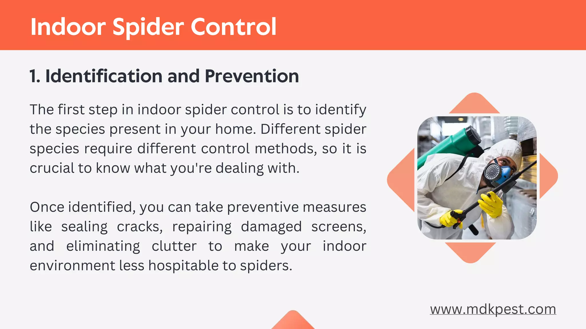 Indoor vs Outdoor Spider Control | PPTX