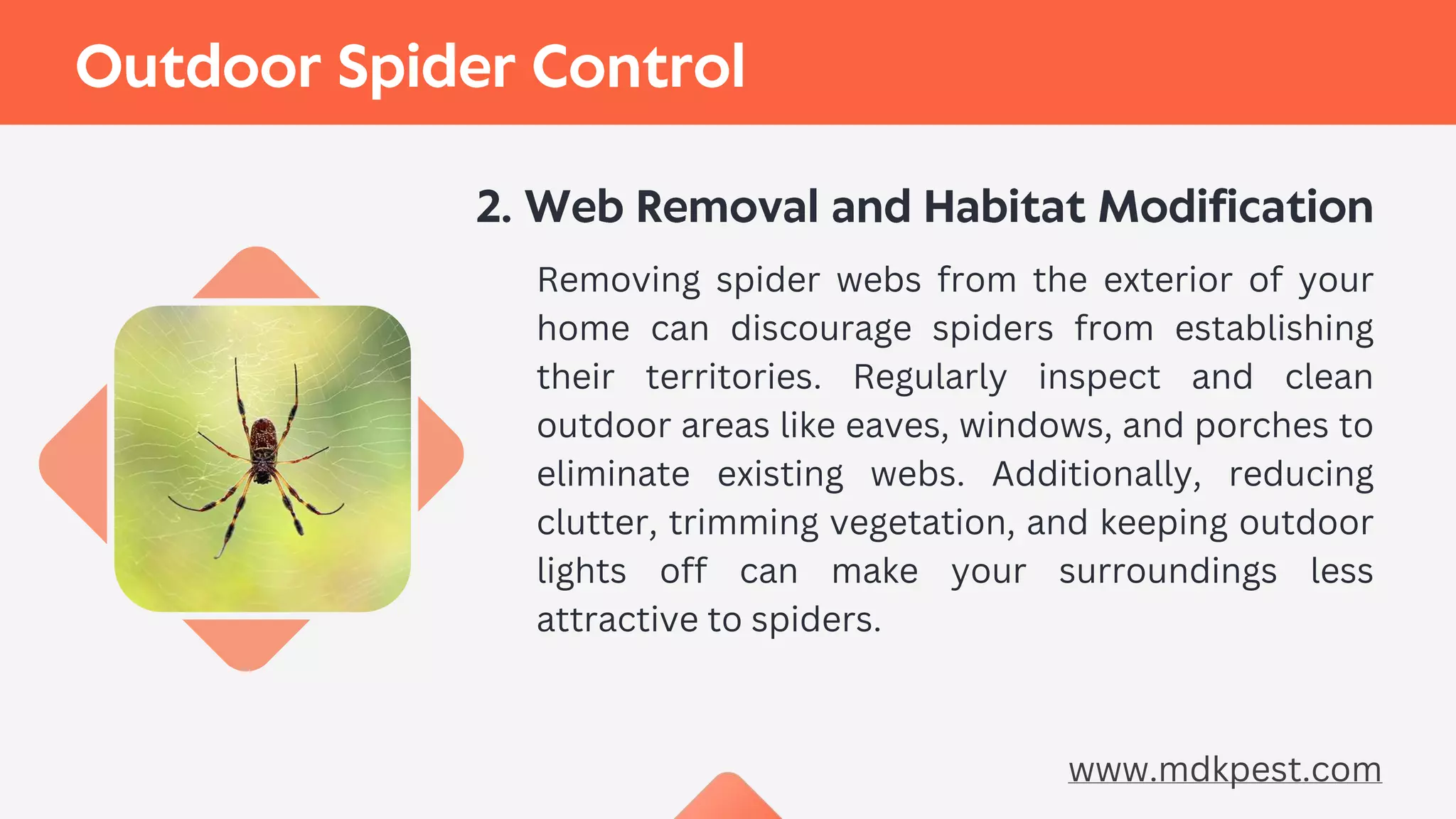 Indoor vs Outdoor Spider Control | PPTX