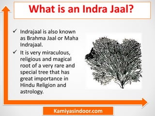 इंद्रजाल के प्रयोग और फायदे हिंदी में, इंद्र जाल की पूजा मंत्र सहित | PPTX