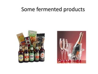Food Biotechnology- Fermentation | PPTX