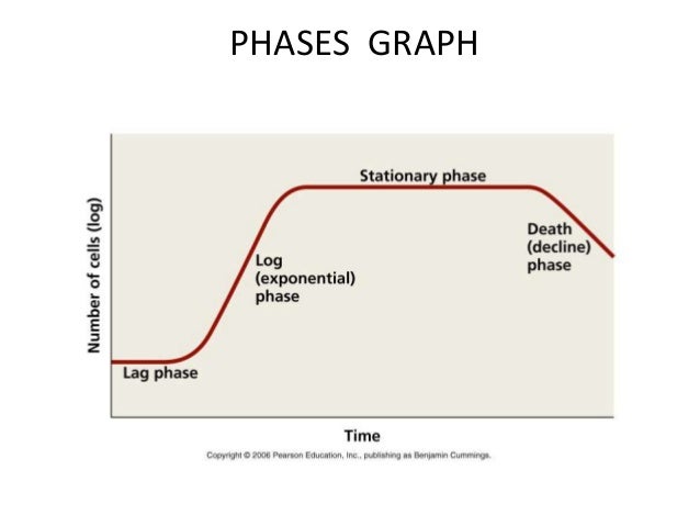 Food Biotechnology- Fermentation