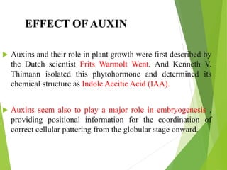 effects of auxin - cytokinin on seed development | PPTX