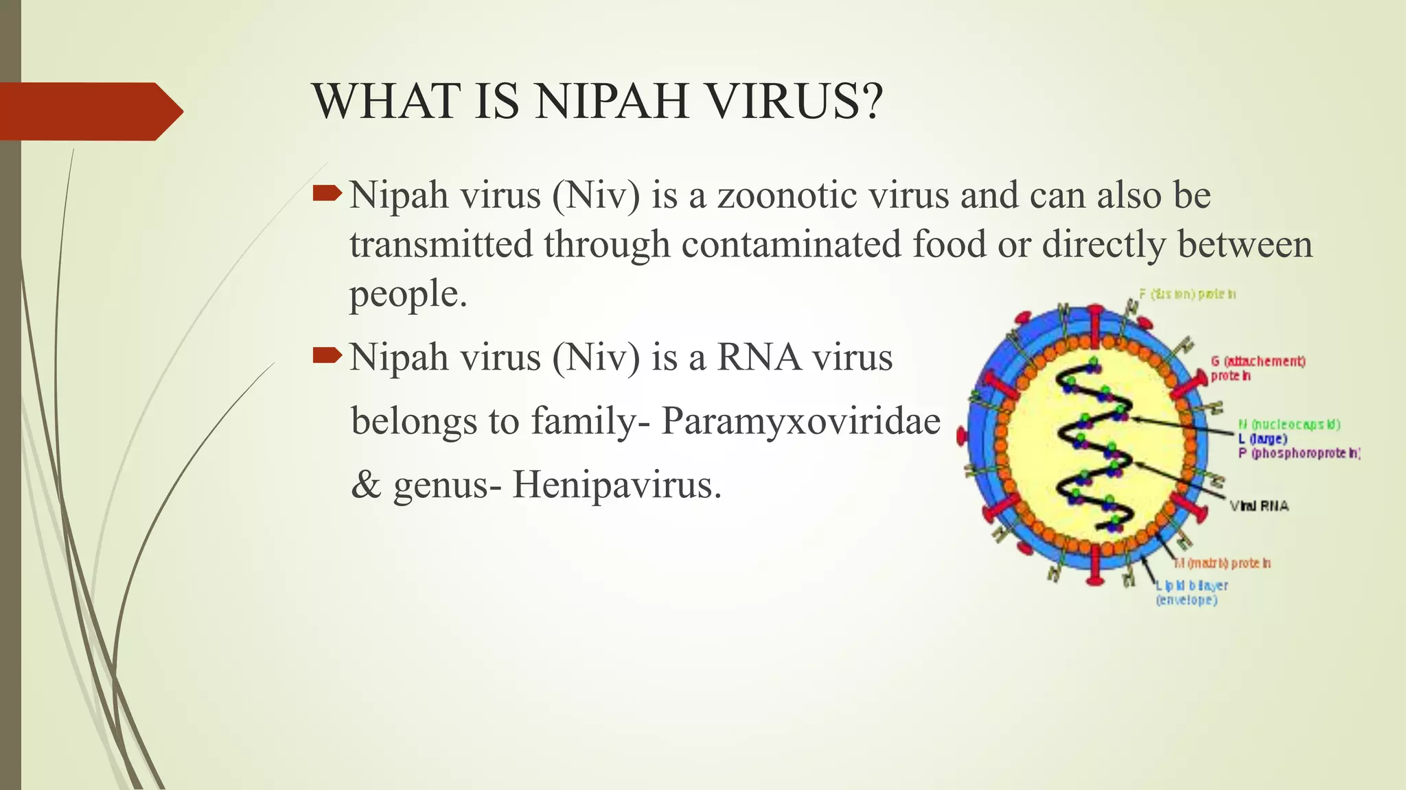 NIPAH VIRUS | PPTX