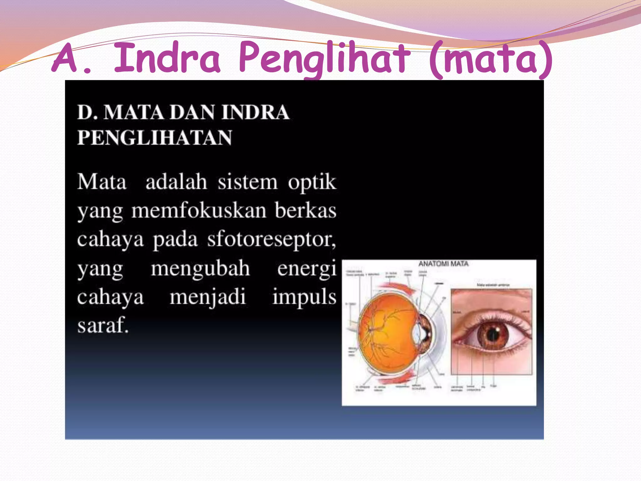 Indra mata | PPTX