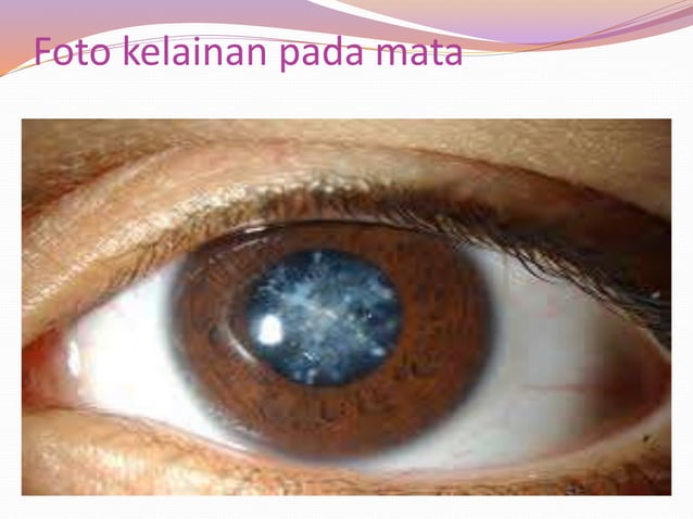 Indra mata | PPT