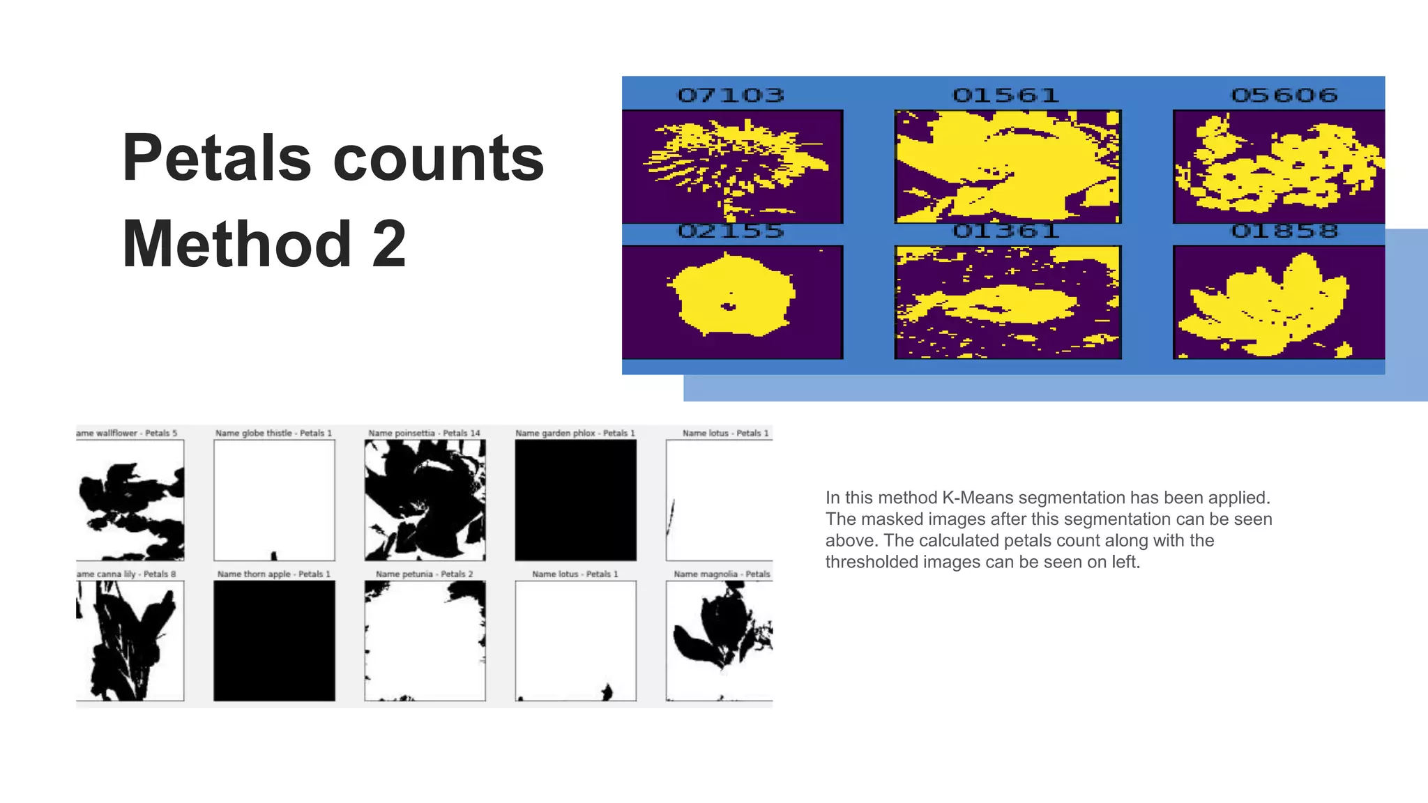 Petals Count and Flower Image Classification using computer vision | PPTX