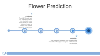 Petals Count and Flower Image Classification using computer vision | PPTX