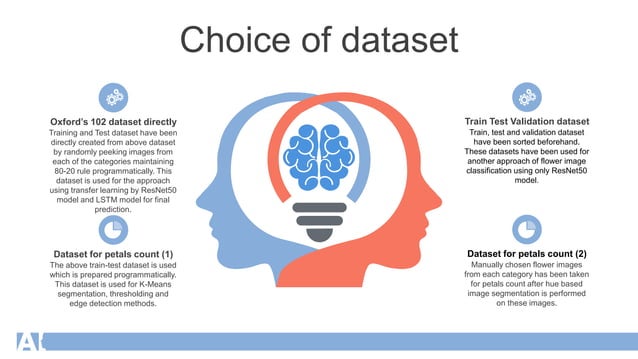 Petals Count and Flower Image Classification using computer vision | PPTX