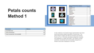Petals Count and Flower Image Classification using computer vision | PPTX