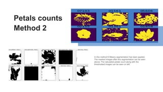 Petals Count and Flower Image Classification using computer vision | PPTX