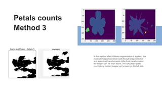 Petals Count and Flower Image Classification using computer vision | PPTX