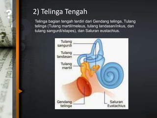 Indra_Pendengaran_Manusia_Telinga_Power.ppt