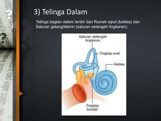 Indra_Pendengaran_Manusia_Telinga_Power.ppt