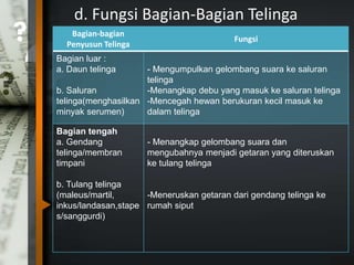 Indra_Pendengaran_Manusia_Telinga_Power.ppt