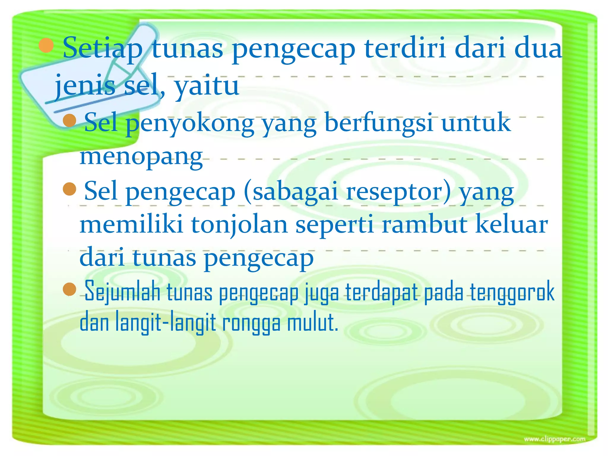 Indra pengecap | PPT