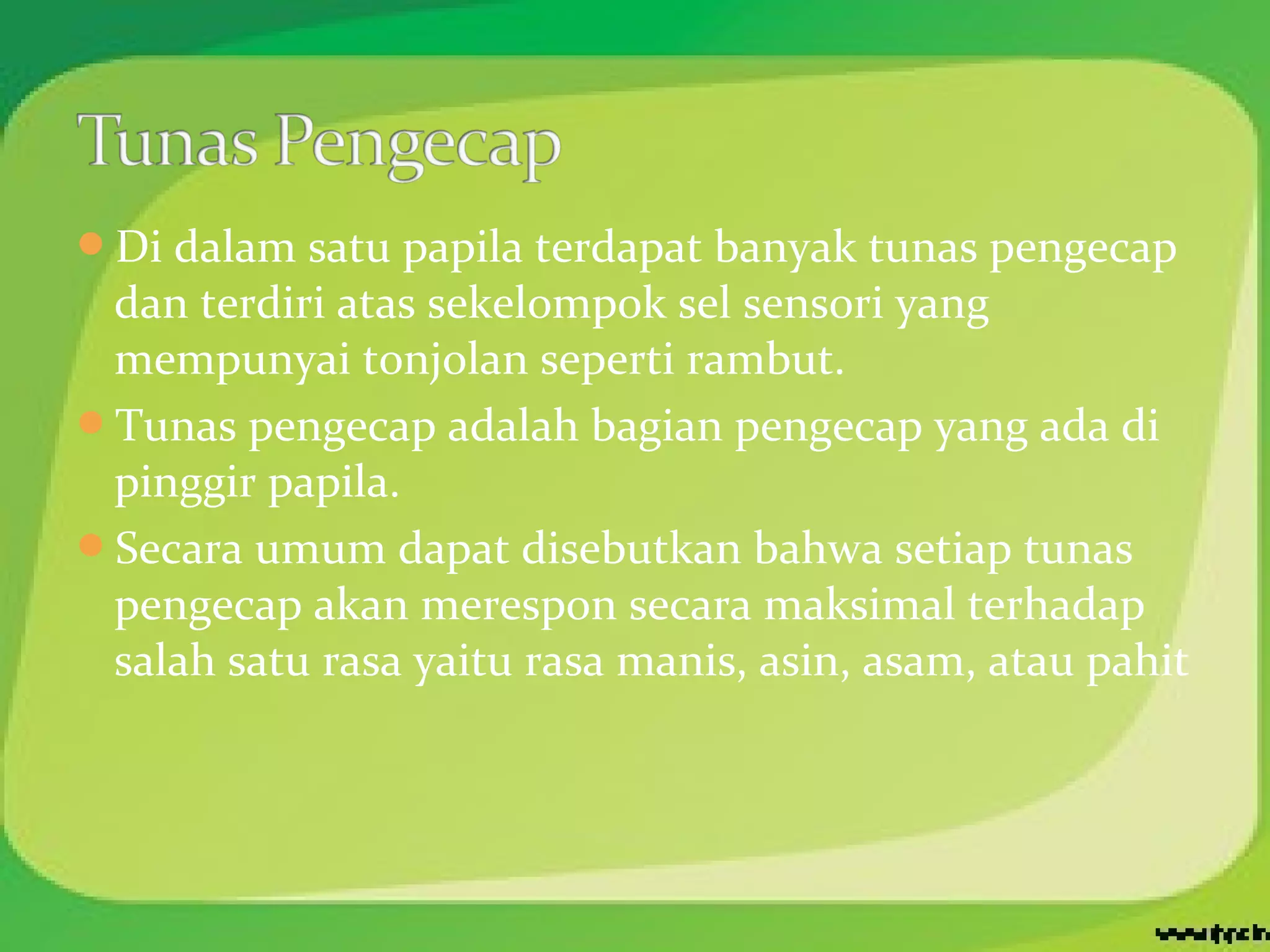 Indra pengecap | PPT