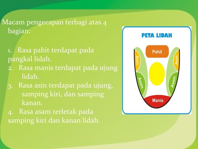 Indra pengecap | PPT