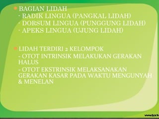 Indra pengecap | PPT