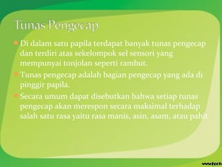 Indra pengecap | PPT