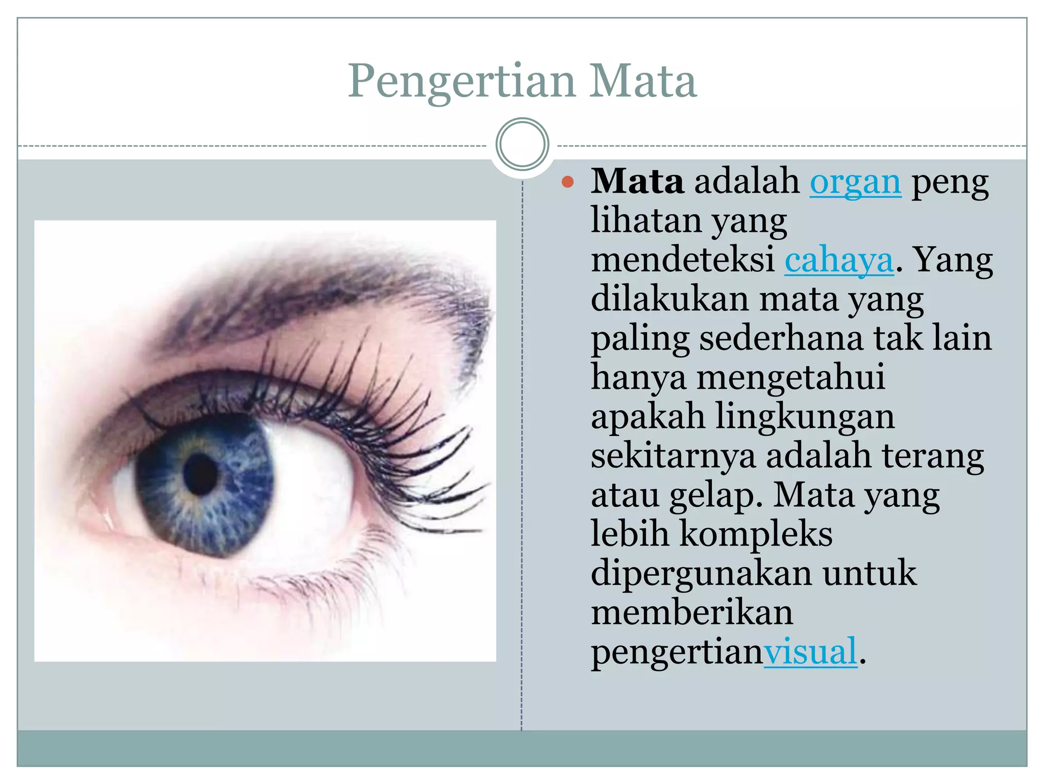 Indra penglihatan (mata) | PPTX
