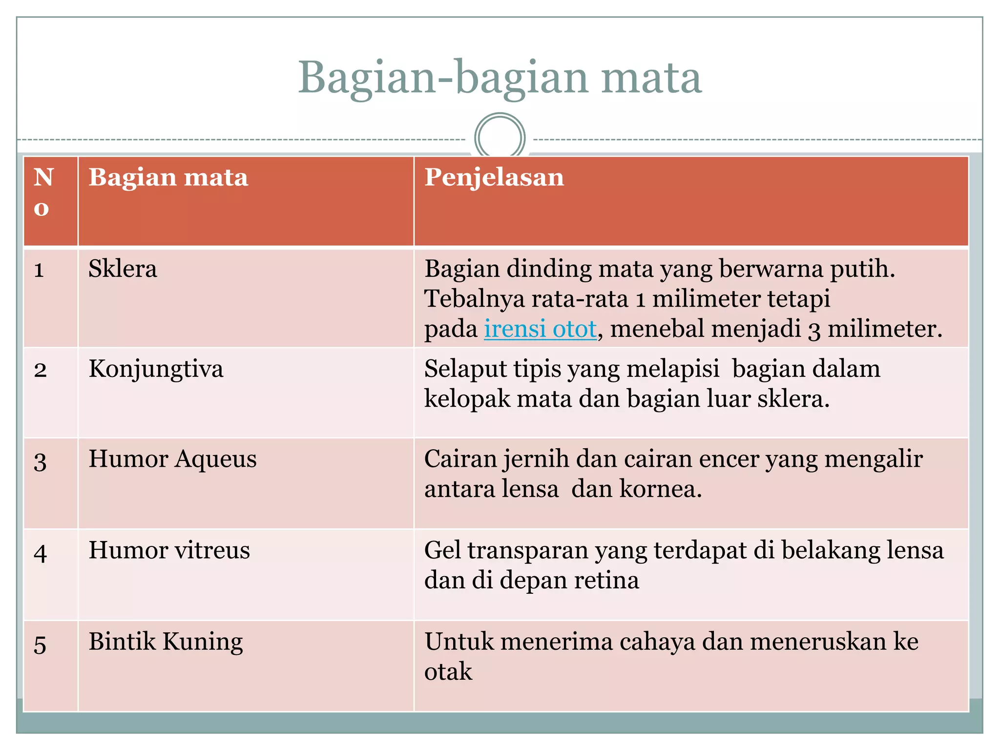 Indra penglihatan (mata) | PPTX
