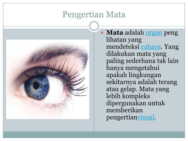 Indra penglihatan (mata) | PPTX