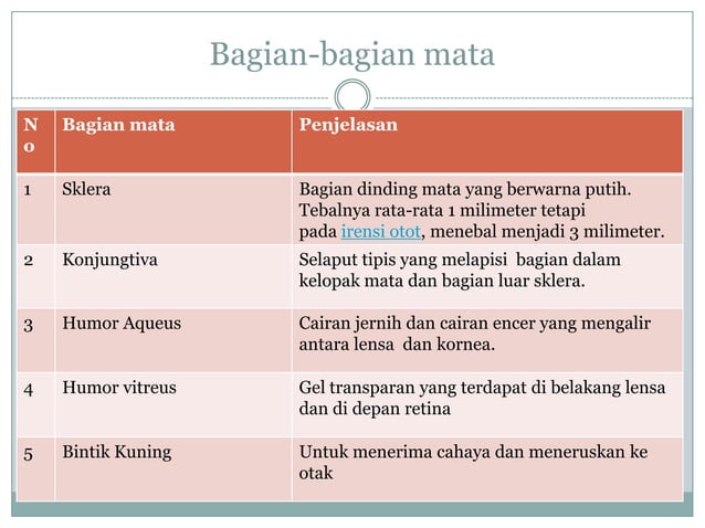 Indra penglihatan (mata) | PPTX