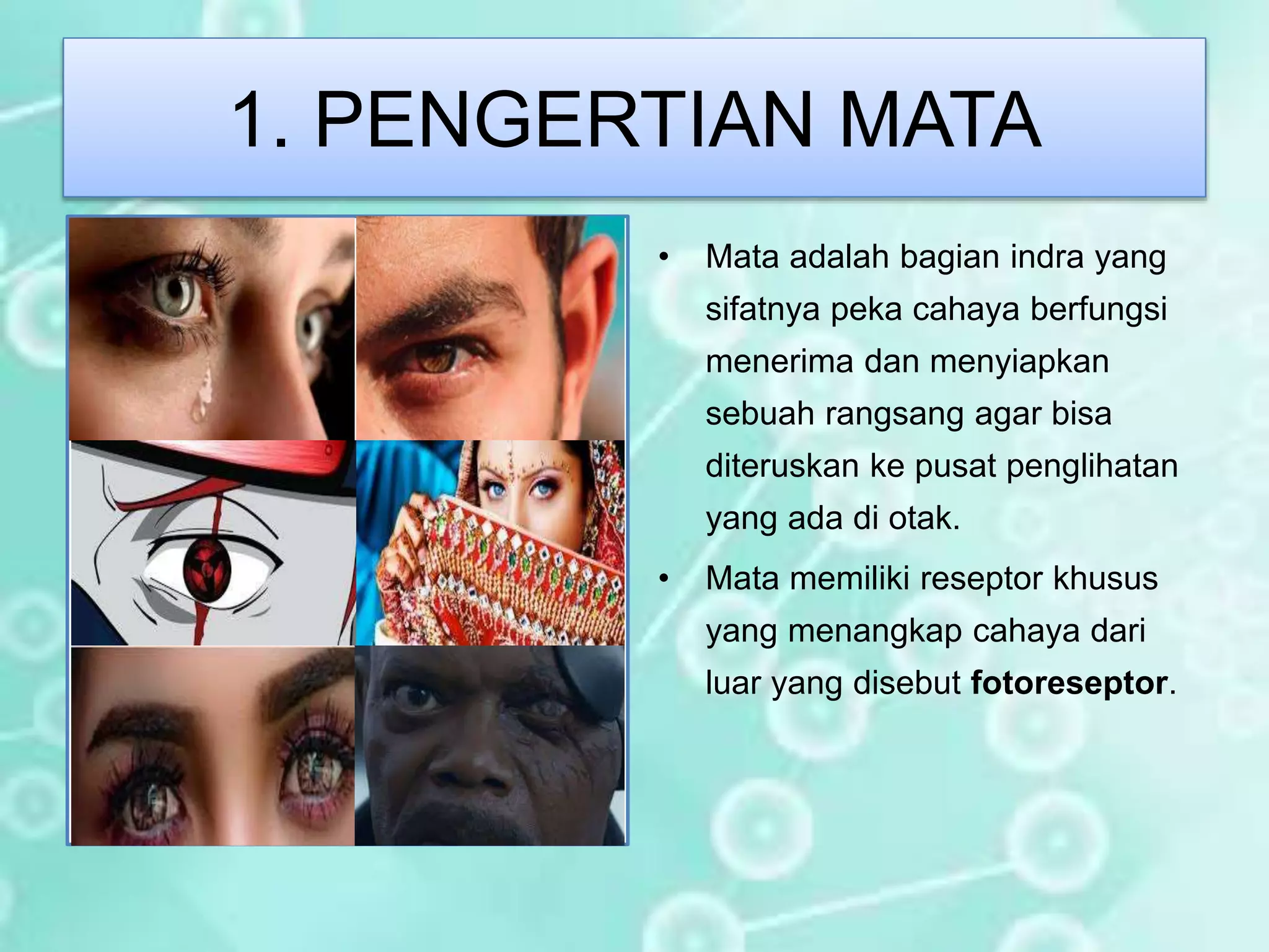Indra penglihatan mata | PPTX