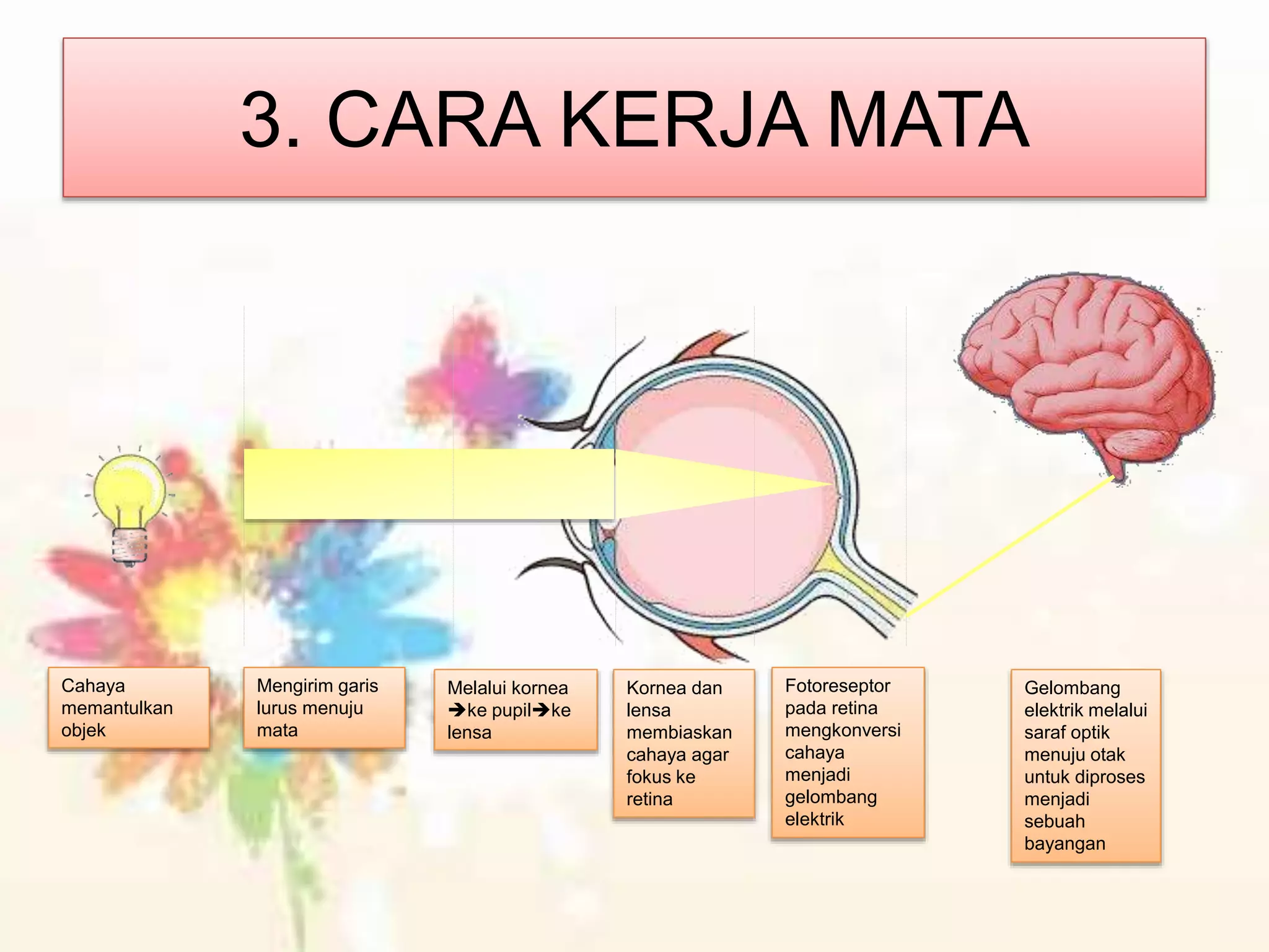 Indra penglihatan mata | PPTX